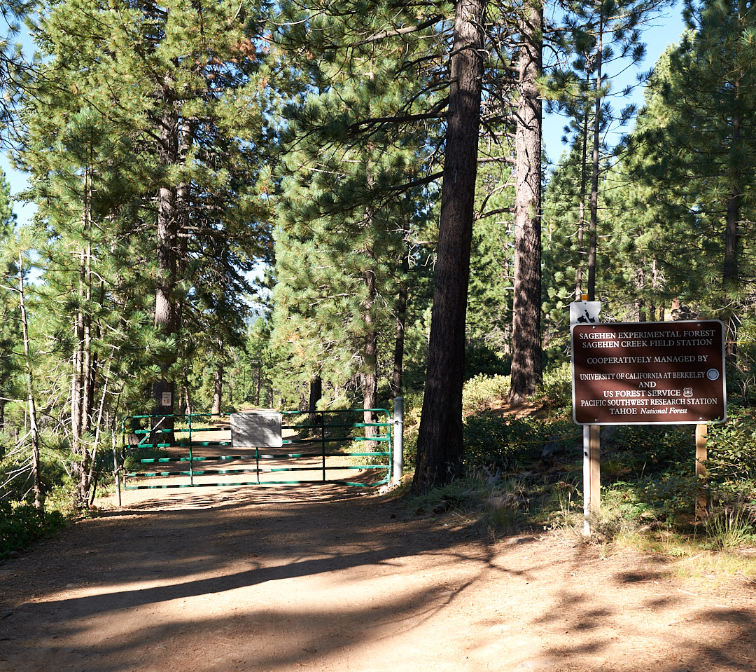 Summer Seminar – Marxist Institute for Research